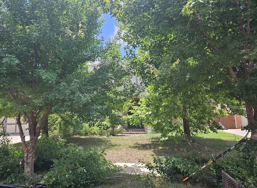 Tree Service | Lawn Care | Moore, Norman and Oklahoma City